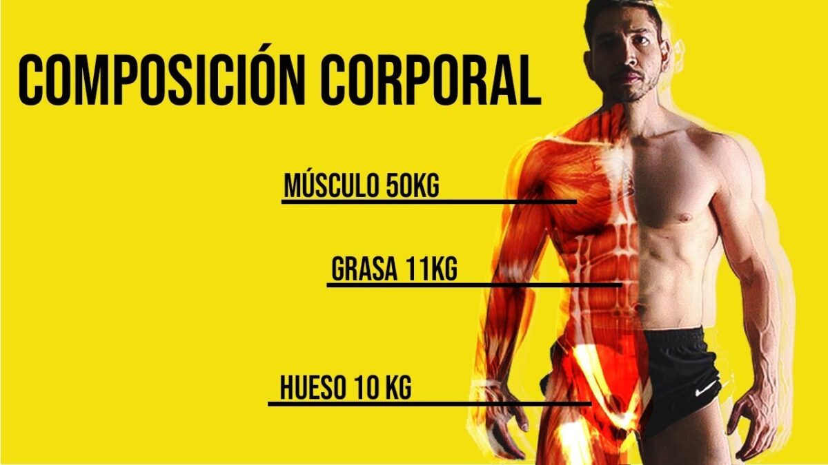 Métodos de evaluación de la composición corporal. Arch. Med. Dep. 2015